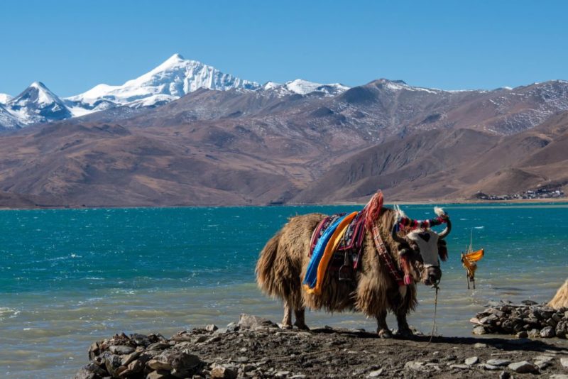 Le Tibet en Chine - Informations Voyage, Circuits, Guide - Ciel Chine