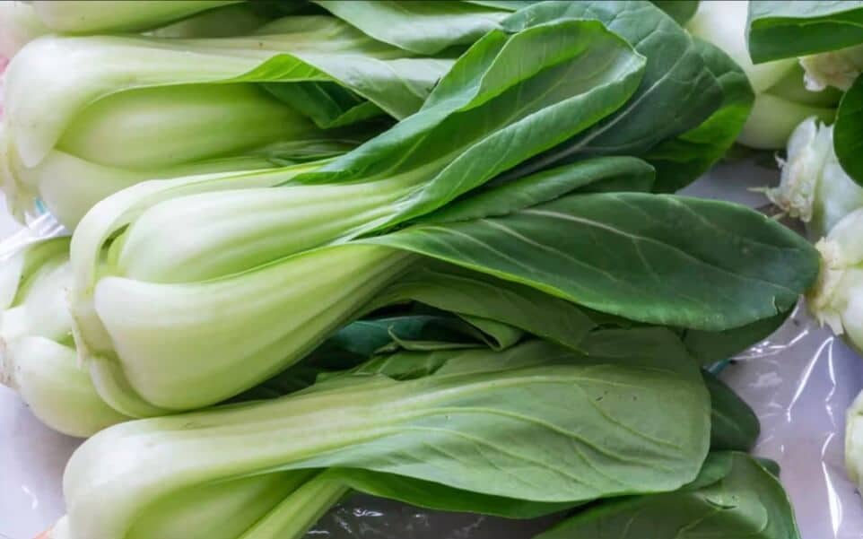 TOP 10 légumes populaires Chinois - Ciel Chine