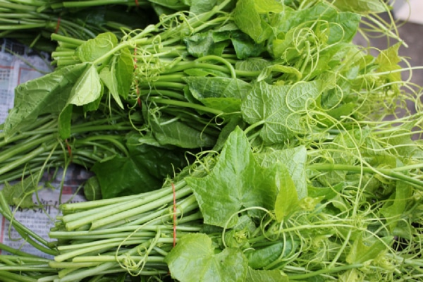 TOP 10 légumes populaires Chinois - Ciel Chine