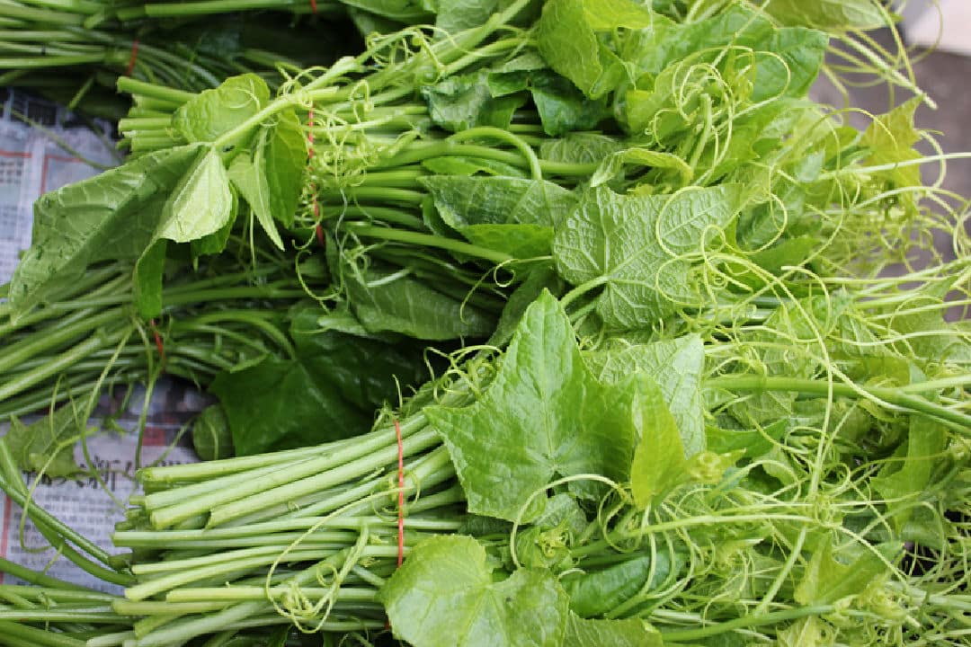 TOP 10 légumes populaires Chinois - Ciel Chine