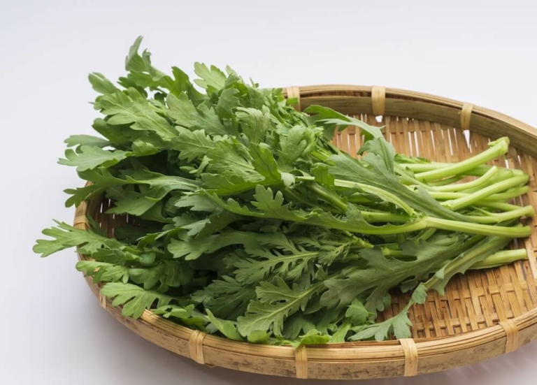 TOP 10 légumes populaires Chinois - Ciel Chine